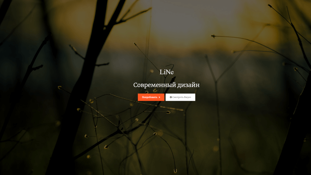LiNe - Современный одностраничный шаблон HTML5